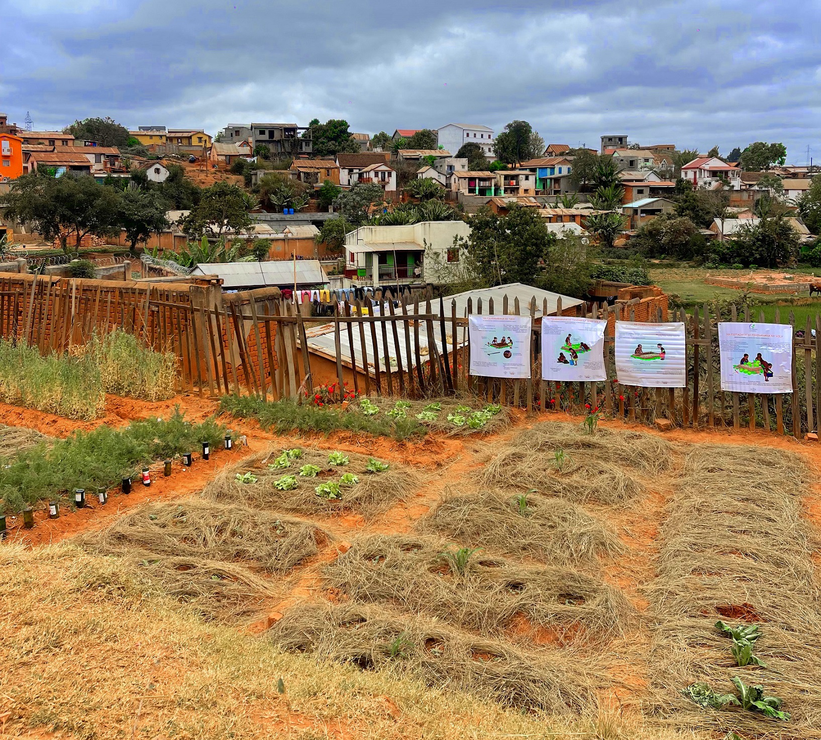 INAUGURATION DES POTAGERS SCOLAIRES DANS 5 EPP DE LA RÉGION ANALAMANGA ...